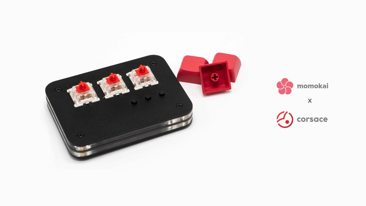 Momokai x Corsace